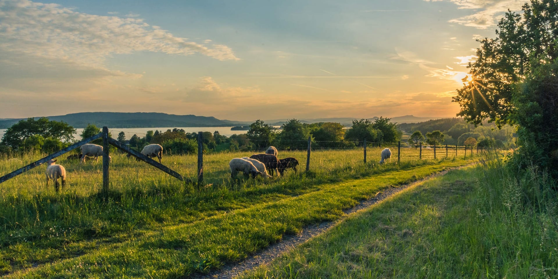 Session | Tenth Presbyterian Church